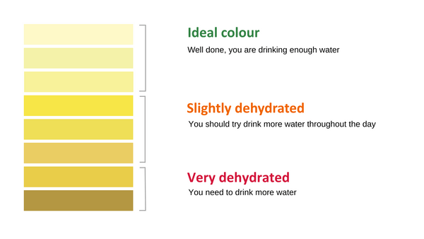 Why Your Child's Water Bottle is the real MVP of the Day | Crunch&Sip®